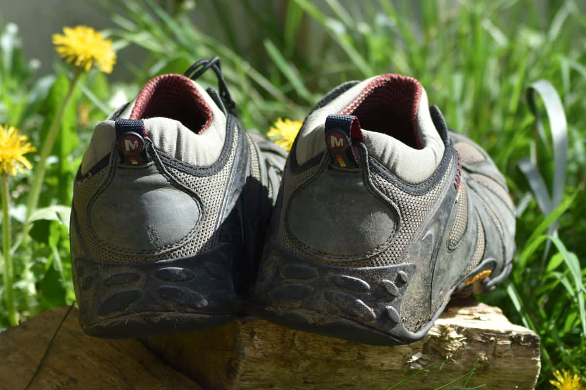 Merrell Chameleon Prime Stretch Review - Hiking Trainers