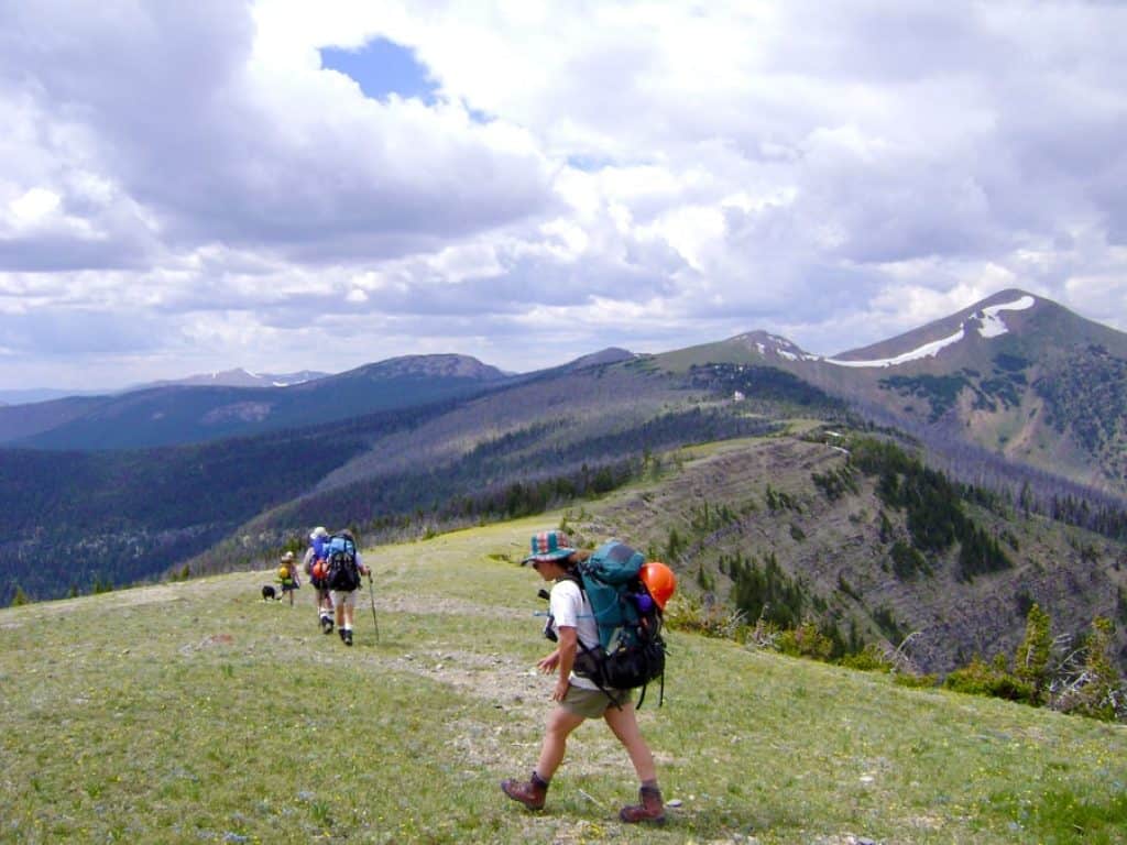 100+ Fun And Interesting Hiking Facts And Statistics In 2023