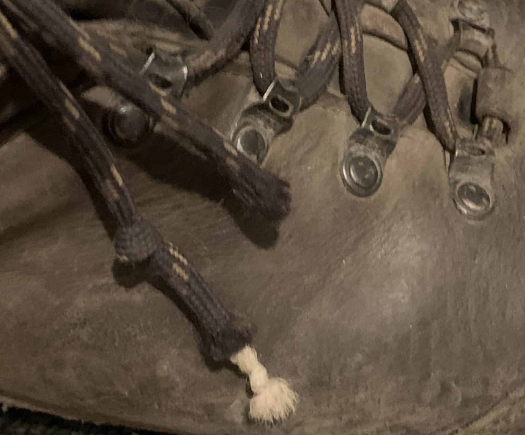 Paracord Shoelaces: A Beginner's Guide With 6 DIY Paracord Lace Tips