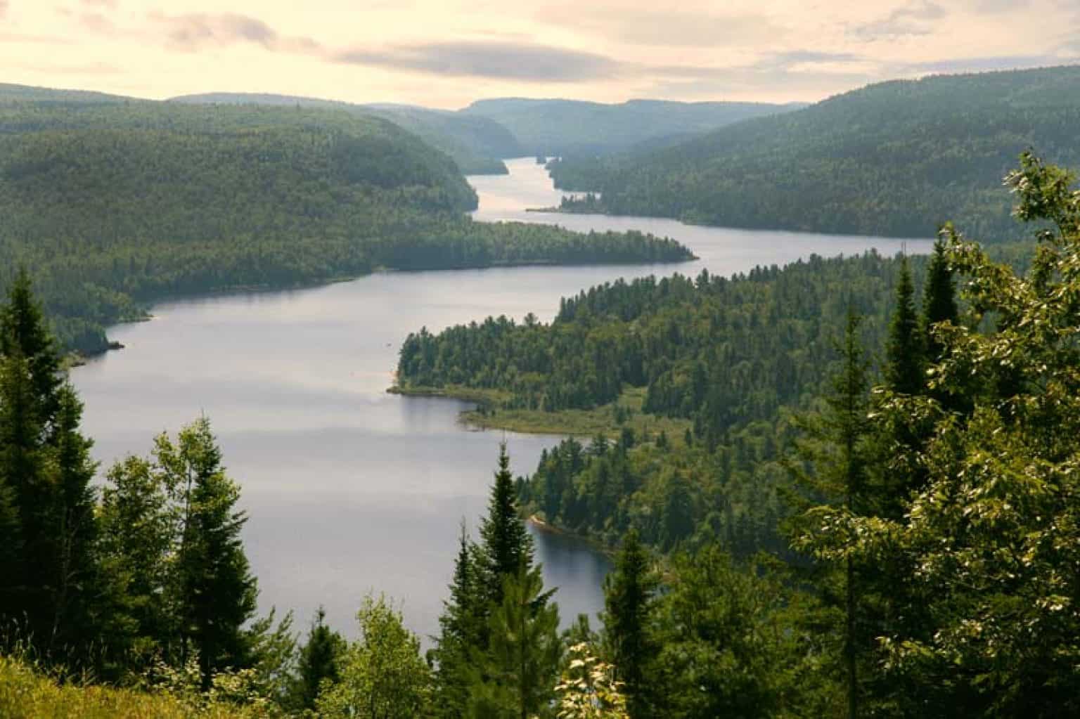 Where To Practice Bushcraft? 8 Best Places To Do Bushcraft In The USA ...