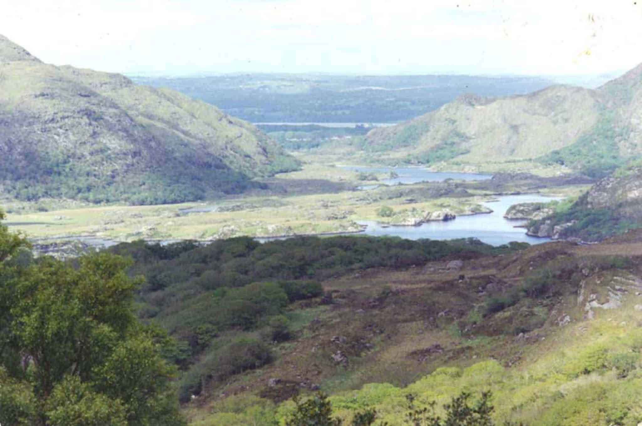 Where To Practice Bushcraft? 8 Best Places To Do Bushcraft In The USA ...