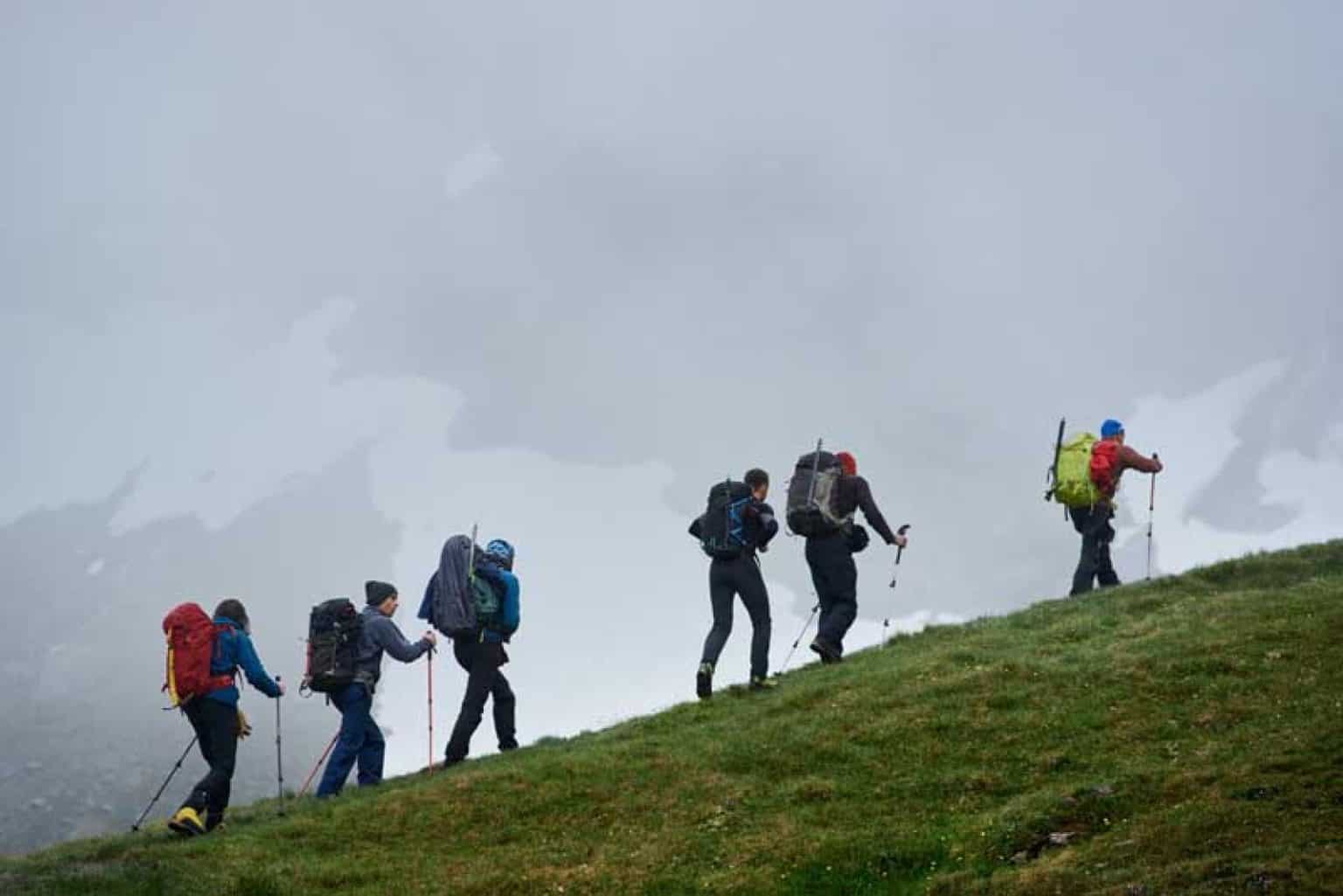 100+ Fun And Interesting Hiking Facts And Statistics In 2023